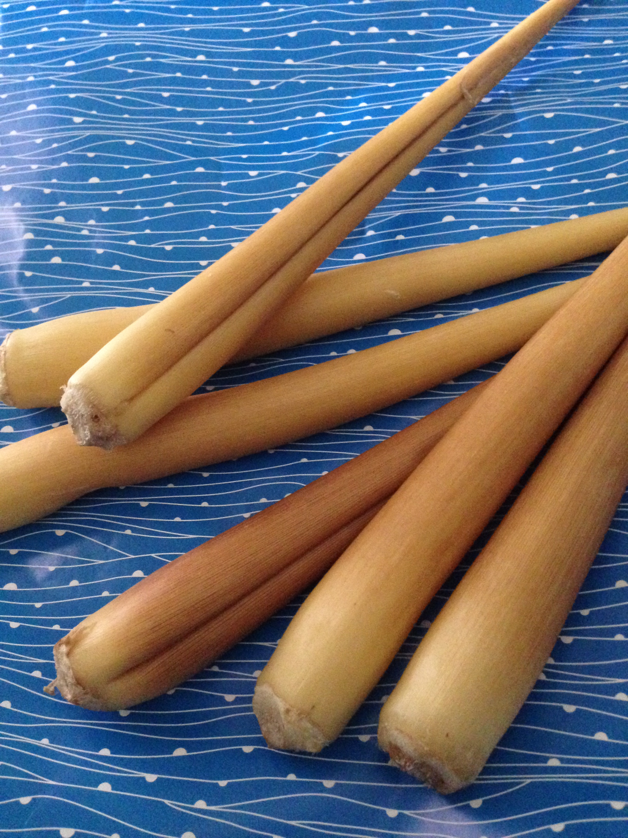 Palmyrah Root Snack | A Taste of Sri Lankan cuisine